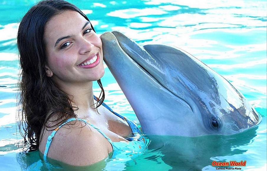 ¡Sumérgete en la diversión y descubre la maravilla de Ocean World por solo RD$1,999! Disfruta de ...