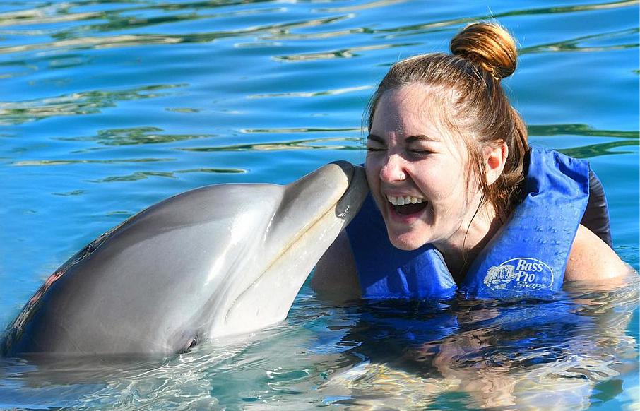 ¡Vive una experiencia inolvidable con los delfines en Ocean World! Por ...