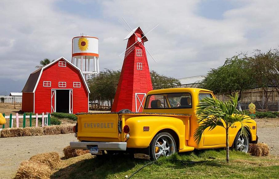 ¡Ven y disfruta de una experiencia mágica en Baní! Paga RD$2,299 en vez ...