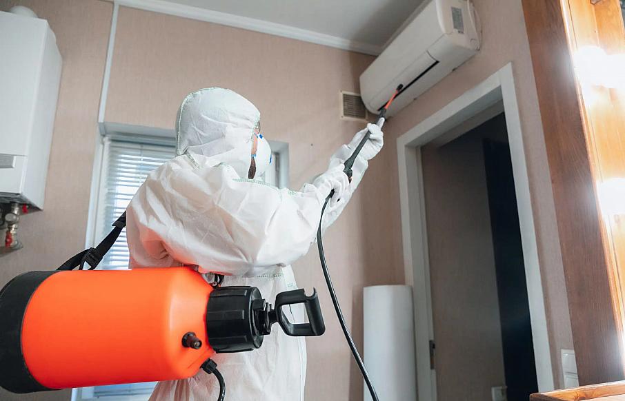 ¡Tu hogar libre de plagas y bacterias! Paga RD$1,899 en vez de RD$3,000 ...